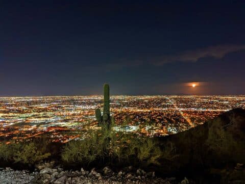 How SEO Phoenix Works for Small Business - Case Study - Phoenix SEO